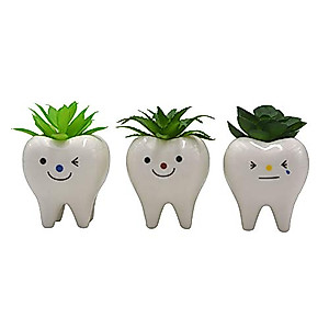MONMOB Pack of 3 Mini Shaped Tooth Planter Ceramic Succulent Plant Pots Set for Small Succulent Tooth Gifts for Adults Kids Women Dentist