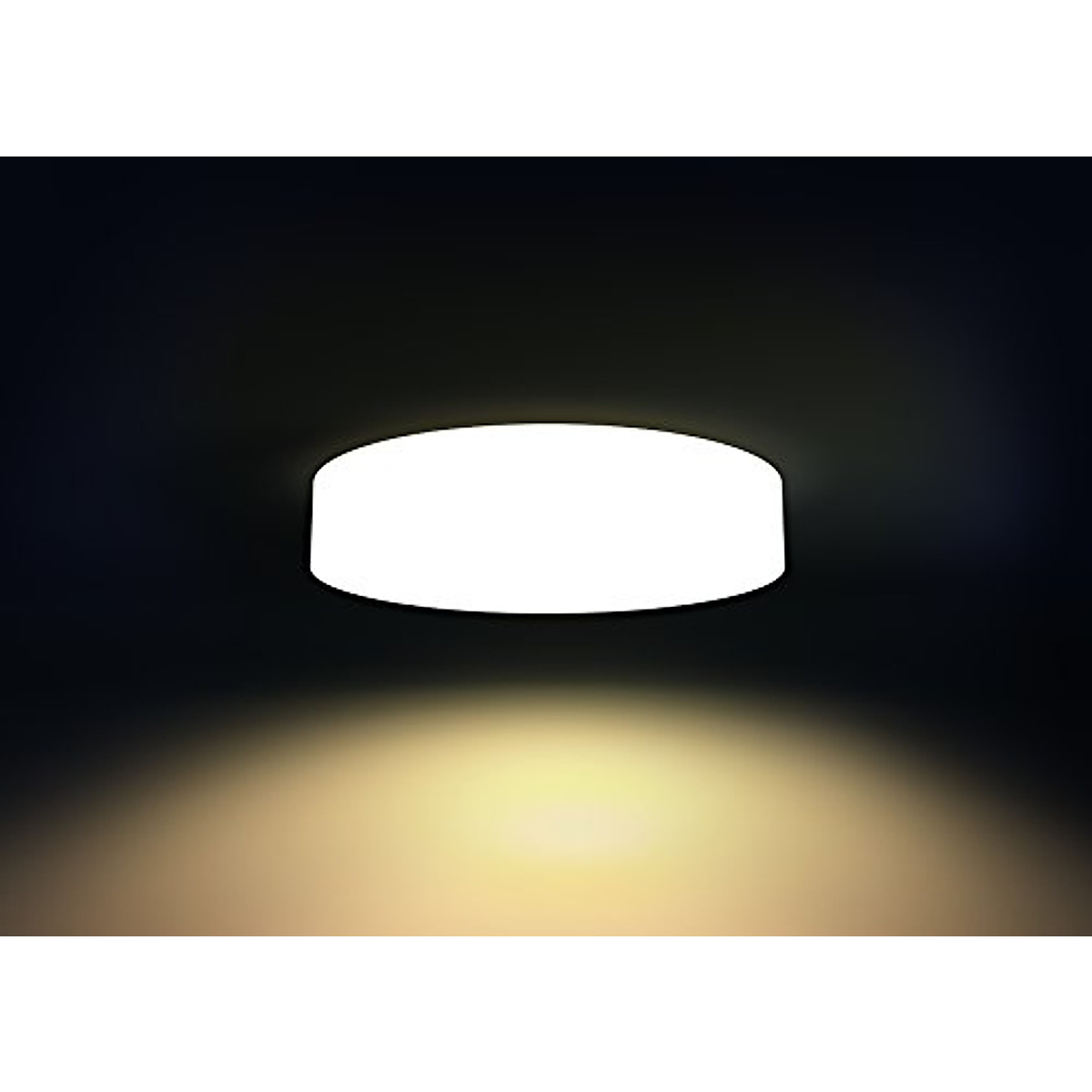 Philips Hue White Ambiance Fair Dimmable LED Smart Flushmount (Works with Alexa Apple HomeKit, and Google Assistant)