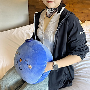 Goylmc Blueberry Plush Pillow, Fruit Stuffed Animal, Food Plush Pillow with Hand Pocket, Gift for Kids Adults (12.9 * 12.2in)