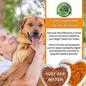Olewo Original Carrots for Dogs – Fiber for Perfect Poop, Dehydrated Dog Food Toppers for Picky Eaters, Natural Skin & Coat Support, Multivitamin, Probiotics for Digestive & Gut Health, 1 lb