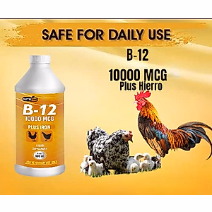 NUTRILINE B-12 for Poultry - Multivitamin Booster for Rooster, Hens, Chicken, Vitamin Recovery Liquid 16 onzas