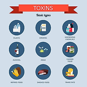 Wellgenix Omni Herbal Cleanse Detox Capsules: Fast Acting, Extra Strength Detox Cleanse for Whole Body, Flush Your System with Detoxifying Capsules, 4 Count (2)