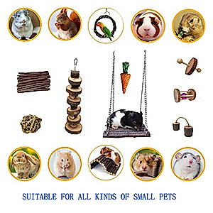 Syhemtya Chinchilla Toys Hamster Chew Toys Guinea Pig Toys Rat Toys Hamster Cage Accessories Small Animal Teeth Care Apple Wooden Accessories Set,Ball Ladder Bridge Swing Roller for Playground