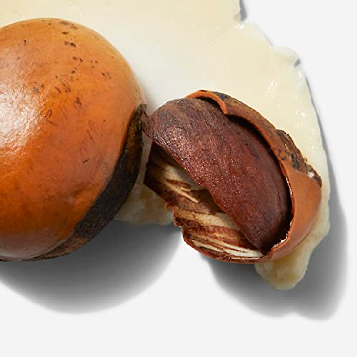 Olay Regenerist Shea Butter + Peptide 24 Rich Cream Face Moisturizer, Fragrance Free, 1.7 oz (48g)