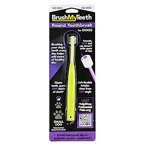 Brush My Teeth Small Dog Toothbrush, Rounded Brush Head -Soft Flexible Bristles, Safe and Gentle Brushing for Small Dogs, Small Breeds and Puppy, Daily Brushing Adds Years of Healthy Life, Multicolor