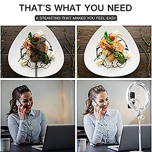 Video Conference Lighting for Laptop Computer, 10.5'' Selfie Ring Light with Stand and Phone Holder for Remote Working, Zoom Meeting Calls, Webcam Lighting, Live Streaming, Video Recording (White)