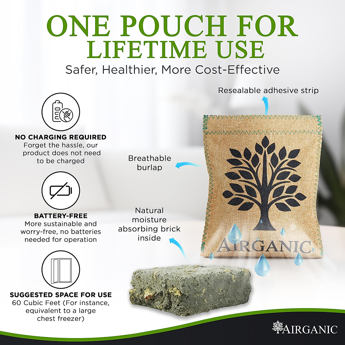 Airganic Moisture Absorbers, Safe Dehumidifier - USA-Made & All Natural from Minerals - Reusable Dessicant, Safe Accessory, Car Dehumidifier, Closet Dehumidifier - Kid & Pet Friendly (1 Pack)