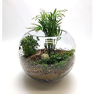 Sprig & Stone Terrarium Soil (1 Quart)