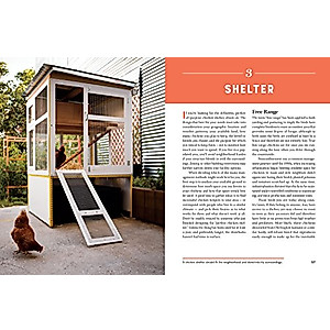 Storey's Guide to Raising Chickens, 4th Edition: Breed Selection, Facilities, Feeding, Health Care, Managing Layers & Meat Birds