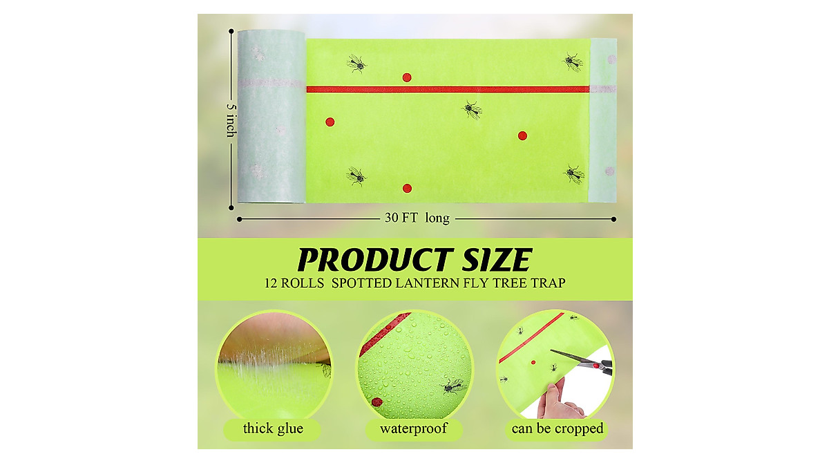Protect Trees: Qualirey 6-Roll Spotted Lantern Fly Traps