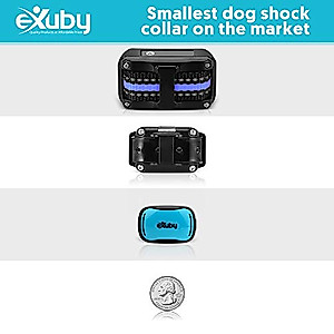 eXuby - Tiny Shock Collar for Small Dogs 5-15lbs - Smallest Collar on The Market - Sound, Vibration, & Shock - 9 Intensity Levels - Pocket-Size Remote - Long Battery Life - Water-Resistant (Teal)