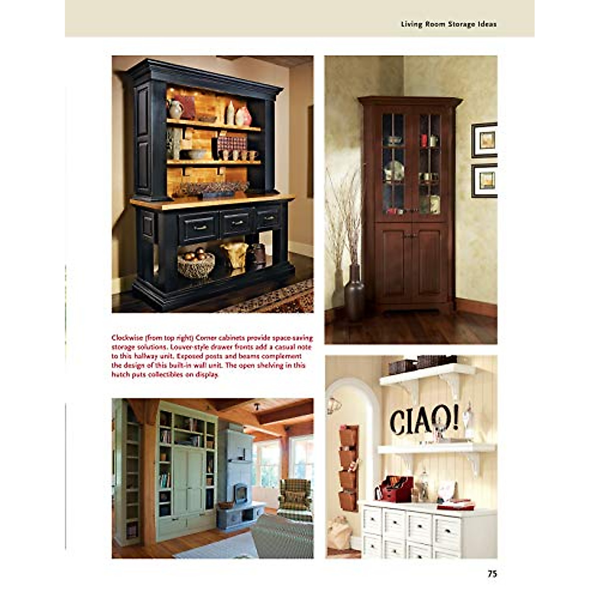 Ultimate Guide to Cabinets, Shelves & Home Storage Solutions (Creative Homeowner) (Home Improvement)