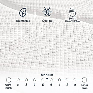 DIGLANT Twin Hybrid Mattress, 12 Inch Euro Top Gel Memory Foam with Pocket Spring Mattress in a Box and Balance Support, Medium Feel CertiPUR-US Certified Mattress