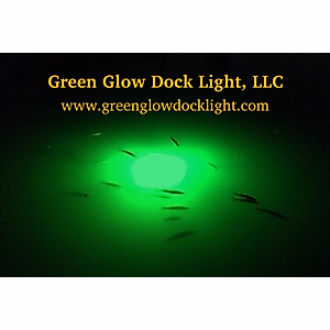 Saltwater Approved & Barnacle Burning Bulbs, Double Lamp Bright Green Underwater Fishing Light Kit, Dock & Fish Lights with 50' Cords (7,900 Lumens Each Bulb)