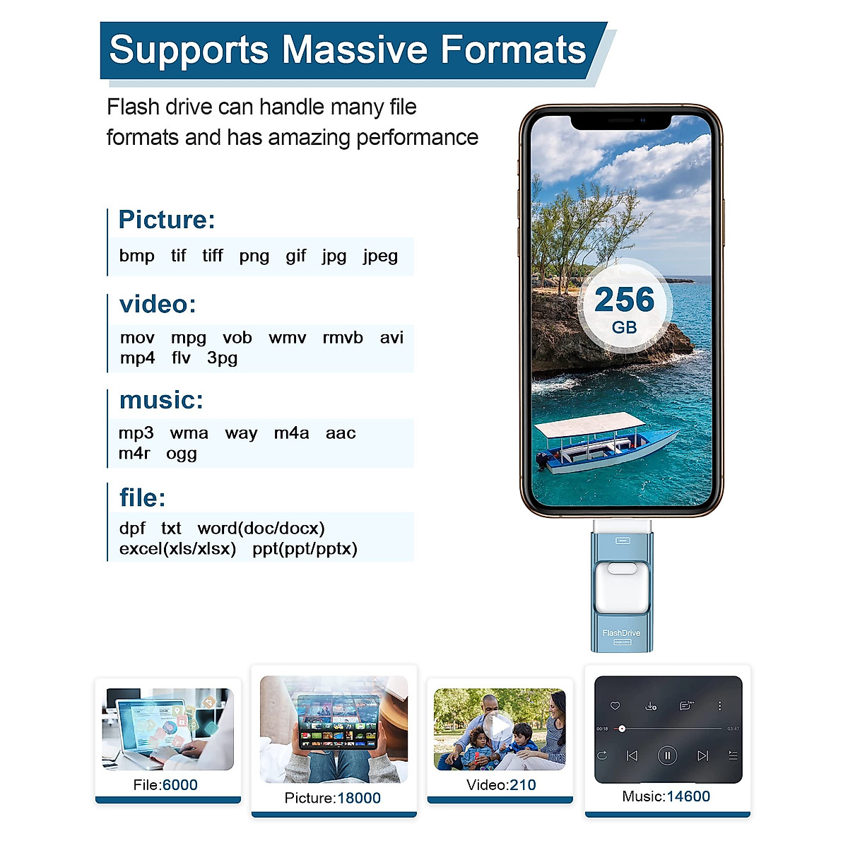 Sunany USB Flash Drive 256GB, Photo Stick Memory External Data Storage Thumb Drive Compatible for Phone, Pad, Android, PC and More Devices (Blue)