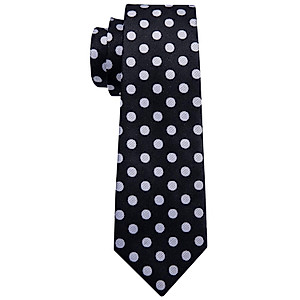 Barry.Wang Men's Fashion Polka Dot Woven Tie Set Black