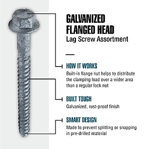 Workshop Hardware 95 Piece Fastener Assortment Kit, Galvanized Flanged Head Lag Screw Assortment Set, 1/4 & 5/16 Diameters, Gray, Stainless Steel
