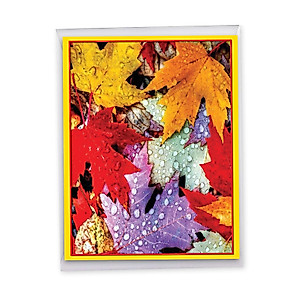 NobleWorks Jumbo Blank All Occasions Greeting Card 8.5 x 11 Inch with Envelope (1 Pack) Big, Jumbo Blank All Occasions Lavish Leaves - Maple J7177JOCB