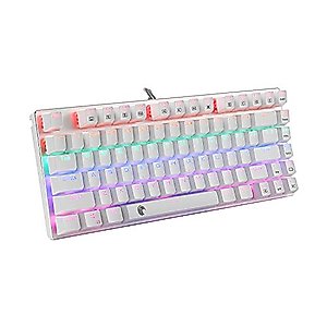 HUO JI 60% Mechanical Gaming Keyboard, E-Yooso Z-88 with Red Switches, Rainbow LED Backlit, Compact 81 Keys Hot Swappable, Silver and White