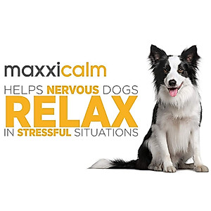 maxxipaws UTI Calm Bundle – maxxiUtract Urinary and Bladder Support for Dogs & maxxicalm Canine Calming Supplement