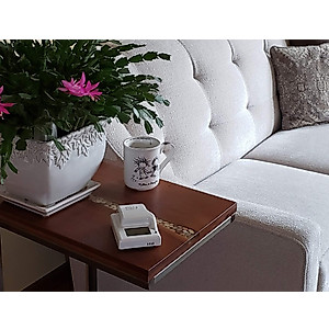 SafetySiren Pro4 Series (4th Gen) - Leader in Home Radon Detection Since 1993. Made in The USA - USA Version pCi/L