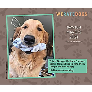 WeRateDogs 2021 Day-to-Day Calendar