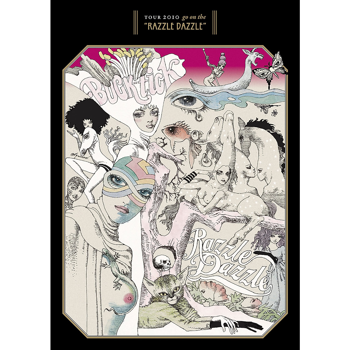 TOUR 2010 go on the“RAZZLE DAZZLE" [Blu-ray]