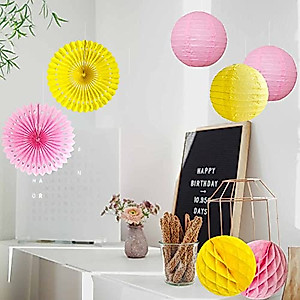 ANSOMO Pink and Yellow Party Decorations Lemon Birthday Bridal Baby Shower Lemonade Sunshine Wedding Wall Hanging Décor Tissue Pom Poms Paper Fans Lanterns