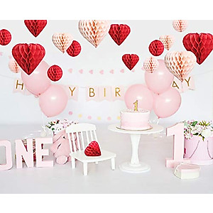 UNIQOOO 16 Pack Red Blush Pink Party Decoration Pom Pom | Heart & Ball Tissue Paper Honeycomb | Perfect for Party Decor, Wedding, Valentine's Day, Engagement, Bridal Shower, Baby Shower, Birthday