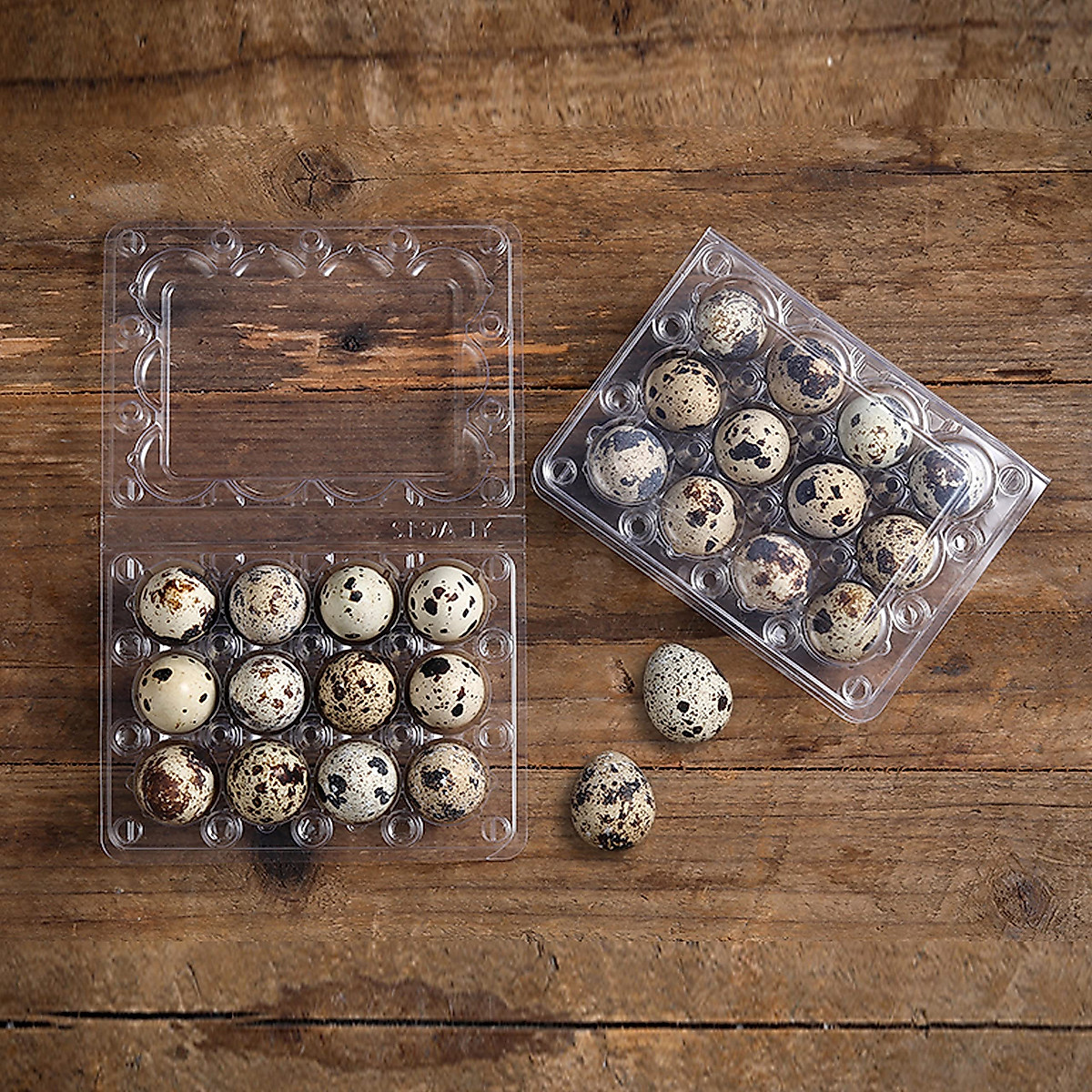 LayHyand 60 Pcs Quail Egg Cartons, Square Dozen Egg Boxes, Classical 3x4 Style Holds Up to Twelve 12 Count Small Quail Eggs Basket, Pigeon Eggs, Bulk Carton Quail Egg Tray Container for Refrigerator