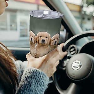 NHJKLWQSZ Golden Retrievers 20oz Stainless Steel Tumbler With Lid And Straw, Double Wall Vacuum Insulated Coffee Mug Travel Cups Leak-Proof Lid For Hot And Cold Drinks, Metal Straws And Brush