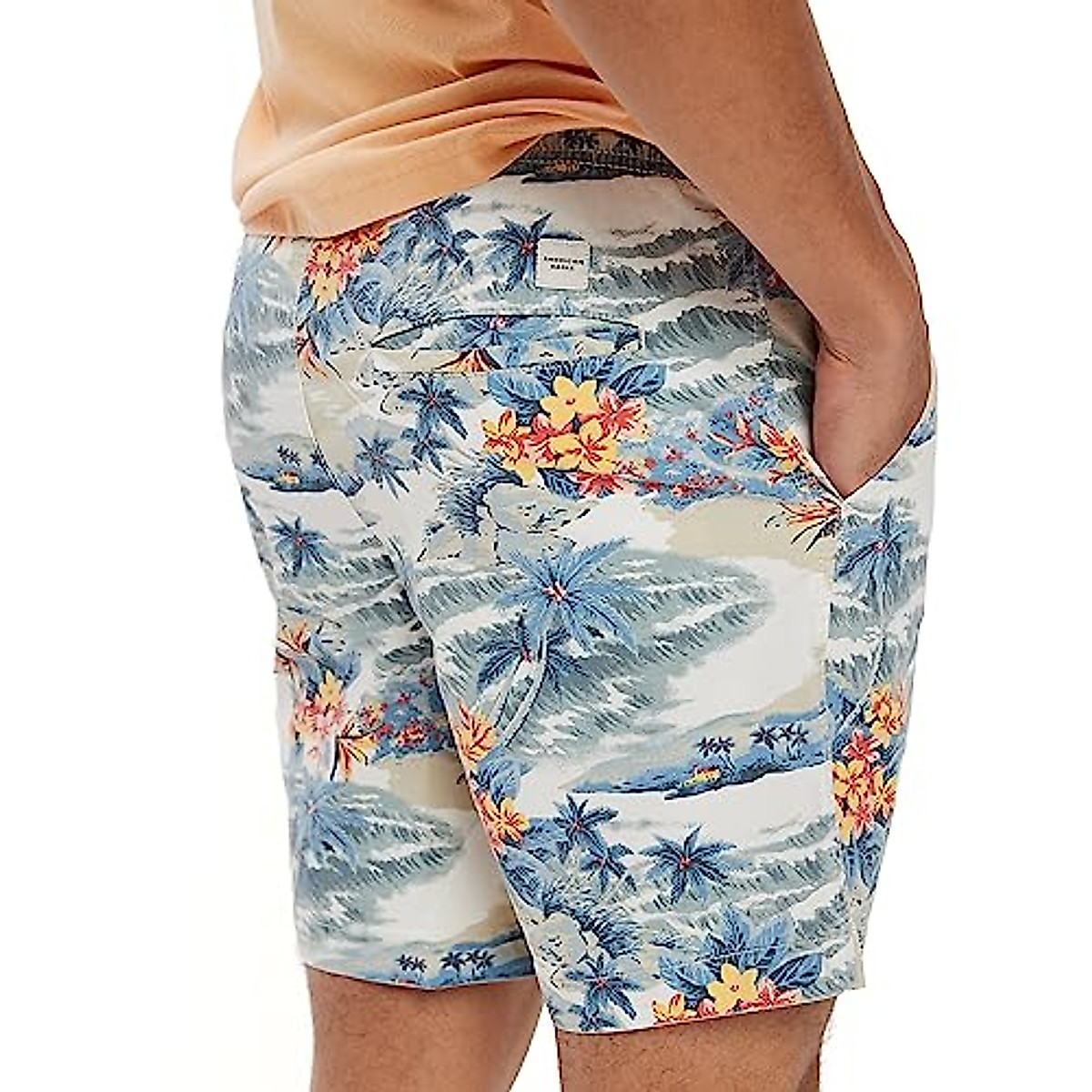 American Eagle x The Summer I Turned Pretty 5.5" Lived-in Trekker Short Multi