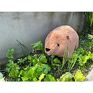 Hofun4U Beaver Plush Pillow with Big Front Teeth, Beaver Stuffed Animal, for Kids Adults (Brown 17.3 inch)