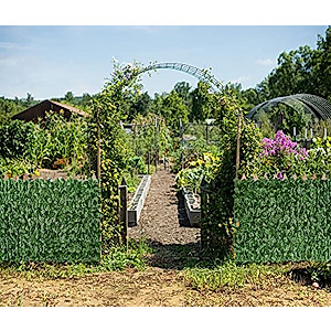 iCover 59 * 98in Artificial Ivy Privacy Fence Screen, Green Maple Leaf Strengthened Joint Prevent Leaves Falling Off, Faux Hedge Panels Greenery Vines, Decorative Fence for Outdoor, Garden