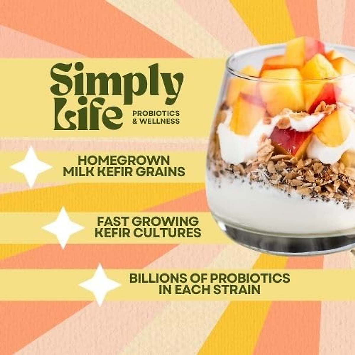 Simply Life Probiotics Milk Kefir Grains,Turkish Strain, Pajaritos de Leche, Bulgaros, Homemade Kefir, Live Probiotics