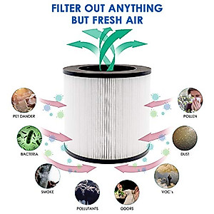 Flintar H13 True HEPA Replacement Filter, Compatible with MA-14 Air Purifier, 3-in-1 H13 Grade True HEPA and Activated Carbon Filter Set, 2-Pack