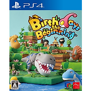 Birthdays the Beginning [Japan import]