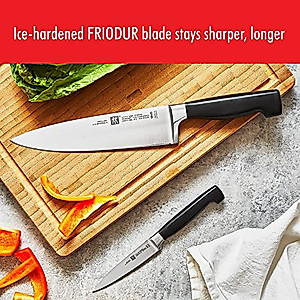 ZWILLING Four Star 20-pc Knife Block Set