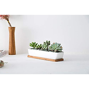 Kipokalor 11.1x2.36x1.77inch Long Rectangular Modern Minimalist White Ceramic Succulent Planter Pot with Saucer for Office,Desk,Window.