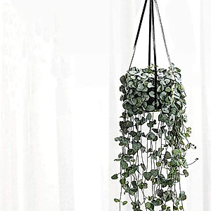 Leather Hanging Planters Holders Plant Hanger,Hanging Baskets Leather Hanging Flower Pot Basket for Home Decor Cactus Succulents Flower Basket White
