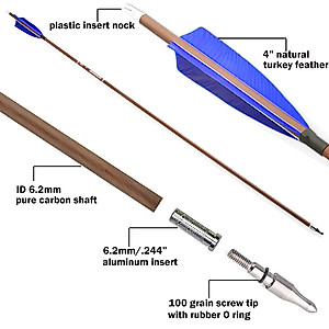 ZSHJGJR 31" Archery Carbon Arrows Spine 340 400 500 600 Hunting Arrows with Removable Tips Natural Feather Targeting Arrows for Compound & Recurve & Traditional Bow 6/12pcs (Spine 340, blue, 12)