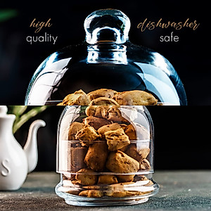 The Buybox Multipurpose Glass Container Avocado, Onion, Tomato, and Lemon Keeper Saver Holder Container, Fruit, Butter Citrus Mini Containers for Fridge, Pepper and Sold Cellar with Lid (Medium)