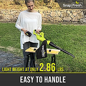 Cordless Blower & Vacuum - SnapFresh 2 in 1 Electric Blower with 4.0Ah Lithium Battery & 2h Fast Charger, 20V Handheld Vacuum Sweeper with Bag for Small Trash, Car, Dust, Pet Hair, Corner Cleaning