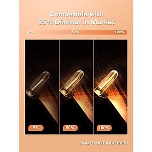 LED Replacement Bulbs 1W T13, 4 Pack Waterproof E12 Screw Base for Outdoor LED String Lights Shatterproof, for Indoor and Outdoor Use