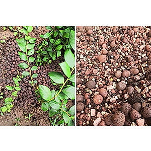 11LB Organic Expanded Clay Pebbles,for Soil Hydroponic Rocks Orchids,Indoor Plants,Succulents (11)