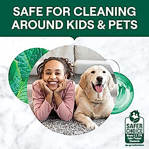 Seventh Generation Multi Purpose Wipes All Purpose Cleaning Garden Mint scent with 100% Essential Oils and Botanical Ingredients 70 count, Pack of 3