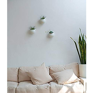 Mkono 4 Inch Wall Mounted Planter Round Ceramic Hanging Plant Holder Decorative Flower Display Vase Succulent Pots for Indoor Plants, Set of 3, White (Plants NOT Included)