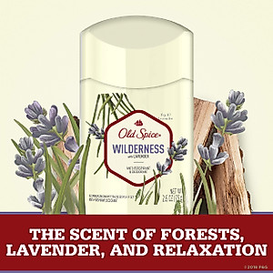 Old Spice Antiperspirant Deodorant for Men, Wilderness With Lavender, Inspired By Nature, Invisible Solid 2.6 Ounce (Pack of 12)