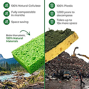 AIRNEX Biodegradable Cellulose Compressed Sponges - Pack of 24 Kitchen Sponges for Cleaning - Heavy Duty and Natural Multipurpose Household Cleaning Sponges Good for Kitchen, Bathroom, and Surfaces