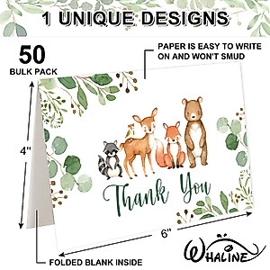 Whaline 50 Pack Woodland Thank You Cards with Envelopes Stickers Forest Animal Greeting Cards Blank Note Cards for Baby Shower Birthday Wedding, 4 x 6 Inch